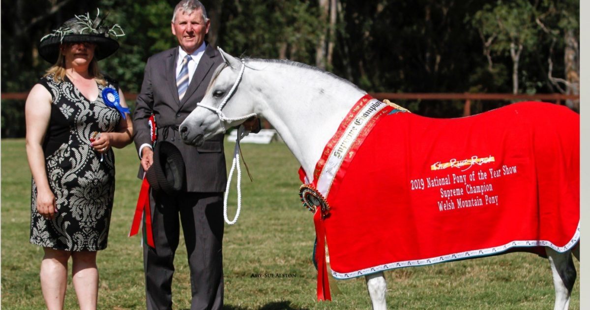 Dynavyte welcomes Yarra Heights Stud to its Elite stable - Dynavyte New ...